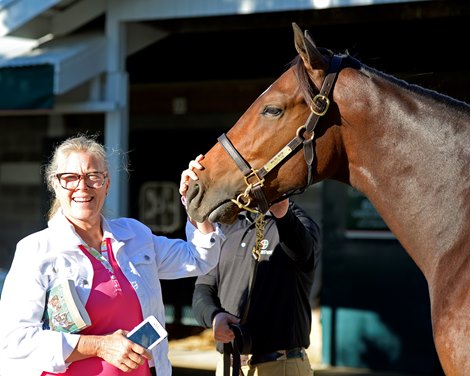 Half Sibling to Rachel Alexandra to Debut at Gulfstream - BloodHorse