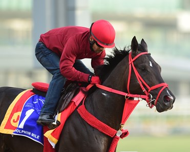 Sharp Azteca - Horse Profile - BloodHorse