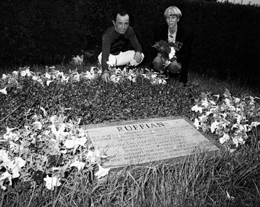 Ruffian: A Photographic Tribute - Slideshow - BloodHorse