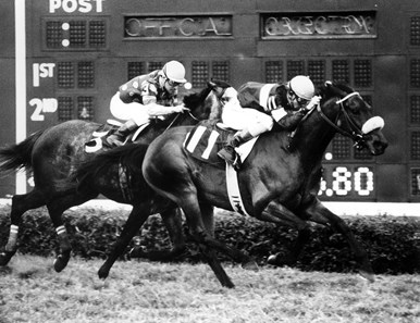 John Henry - Horse Profile - BloodHorse