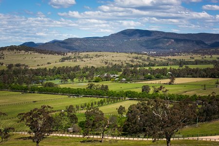 Coolmore Buys Into Golden Slipper Runner Yes Yes Yes - BloodHorse