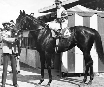 Ruffian: A Photographic Tribute - Slideshow - BloodHorse