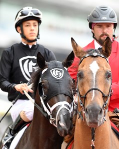 Sharp Azteca - Horse Profile - BloodHorse