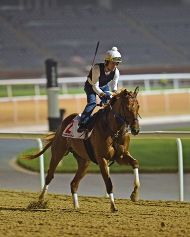Gun Runner Brings Consistent Class to World Cup Stage - BloodHorse
