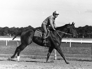 Ruffian: A Photographic Tribute - Slideshow - BloodHorse