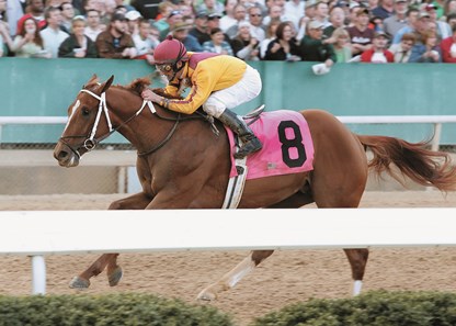 Curlin - Horse Profile - BloodHorse