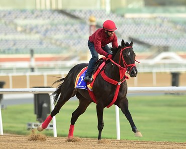 Sharp Azteca - Horse Profile - BloodHorse
