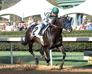 Mor Spirit - Horse Profile - BloodHorse