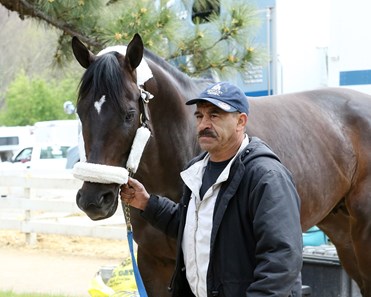 Mor Spirit - Horse Profile - BloodHorse