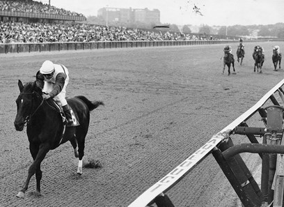 Ruffian: A Photographic Tribute - Slideshow - BloodHorse