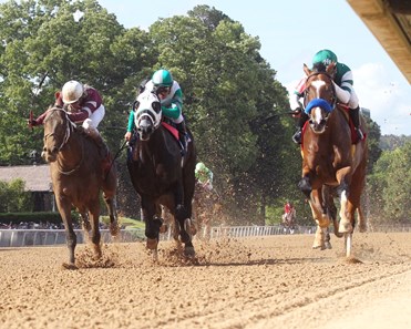 Cistron - Horse Profile - BloodHorse