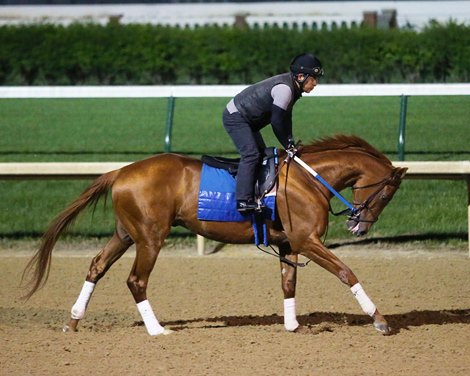 Gun Runner to Return in Stephen Foster Handicap - BloodHorse