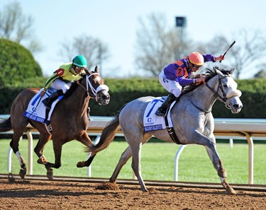 Sailor's Valentine - Horse Profile - BloodHorse