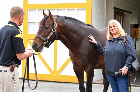 Orb - Horse Profile - BloodHorse