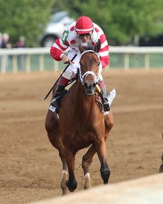 Unbridled Mo - Horse Profile - BloodHorse
