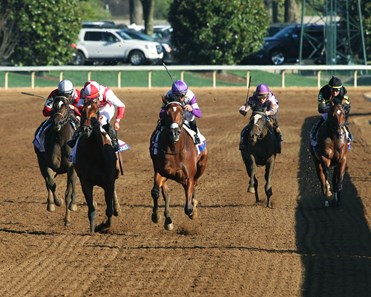 Irap - Horse Profile - BloodHorse