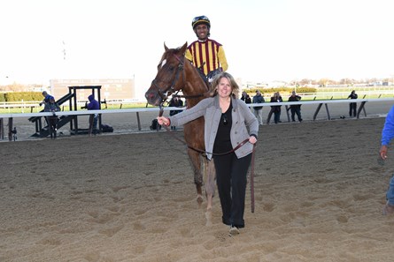 Irish War Cry - Horse Profile - BloodHorse