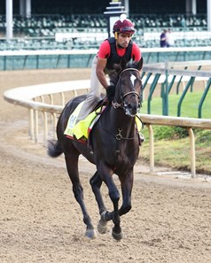 McCraken - Horse Profile - BloodHorse