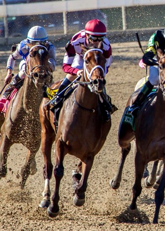 Fair Grounds Stakes Schedule Worth $6.69 Million - BloodHorse