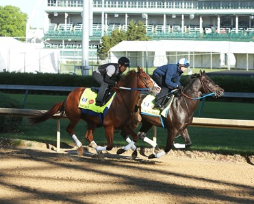 Hence - Horse Profile - BloodHorse