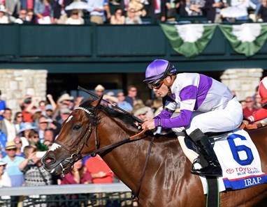 Irap - Horse Profile - BloodHorse