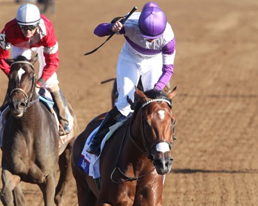 Irap - Horse Profile - BloodHorse