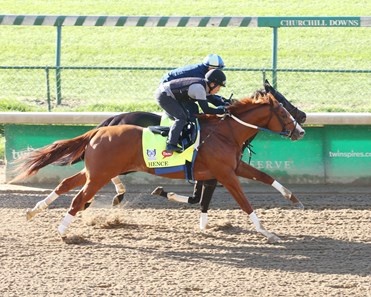 Hence - Horse Profile - BloodHorse