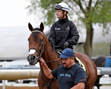 Irap - Horse Profile - BloodHorse