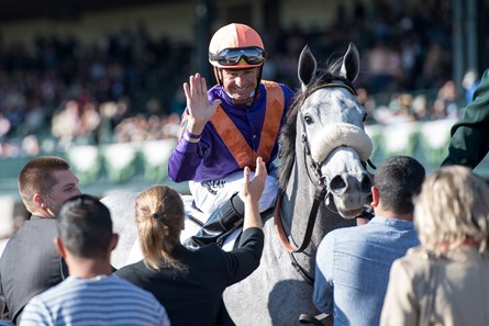 Sailor's Valentine - Horse Profile - BloodHorse