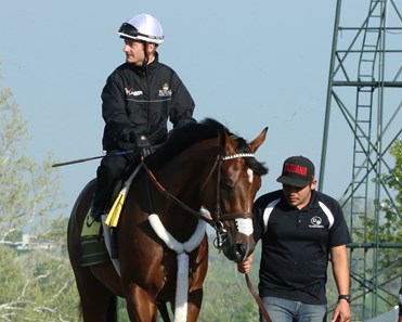 Irap - Horse Profile - BloodHorse