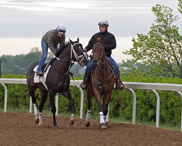 Girvin - Horse Profile - BloodHorse