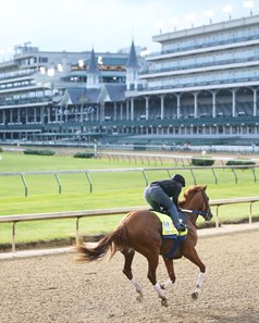 Hence - Horse Profile - BloodHorse