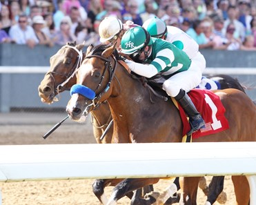 Cistron - Horse Profile - BloodHorse