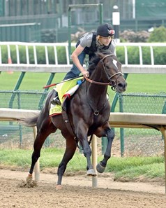 McCraken - Horse Profile - BloodHorse