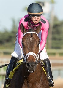 Mr. Hinx - Horse Profile - BloodHorse