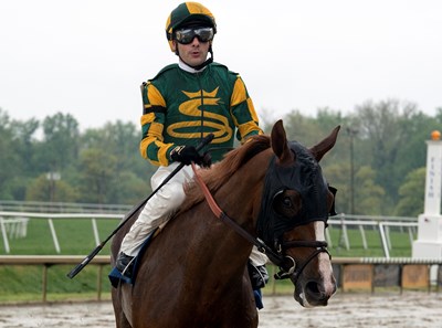 Twisted Tom - Horse Profile - BloodHorse