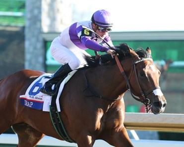 Irap - Horse Profile - BloodHorse