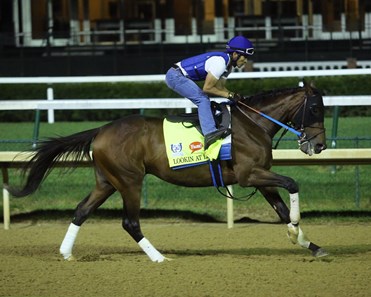 Lookin At Lee - Horse Profile - BloodHorse