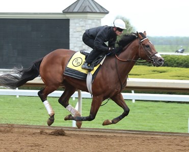Irap - Horse Profile - BloodHorse
