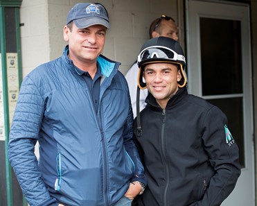 Salty - Horse Profile - BloodHorse