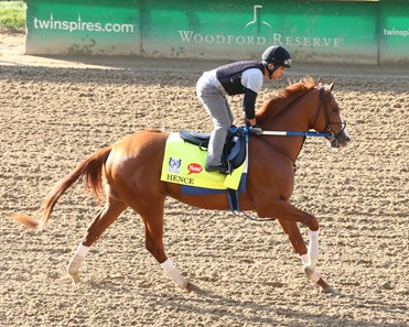 Hence - Horse Profile - BloodHorse