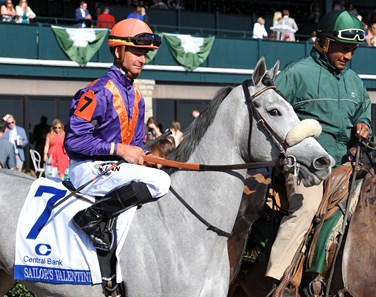 Sailor's Valentine - Horse Profile - BloodHorse