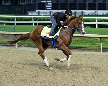 Hence - Horse Profile - BloodHorse