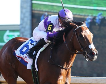 Irap - Horse Profile - BloodHorse