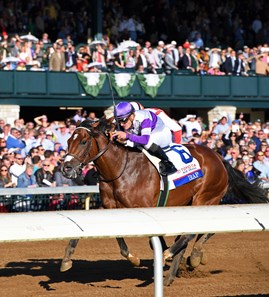 Irap - Horse Profile - BloodHorse