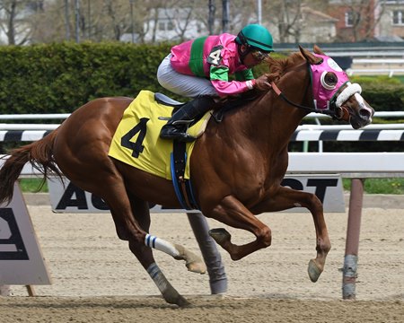 Dolphus Outruns Quality Field at Aqueduct - BloodHorse