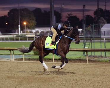 Lookin At Lee - Horse Profile - BloodHorse