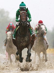 Exaggerator - Horse Profile - BloodHorse