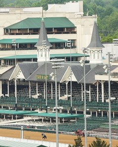 Hence - Horse Profile - BloodHorse