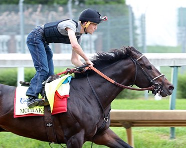McCraken - Horse Profile - BloodHorse